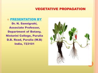 Vegetative Propagation in Plants with special reference to cutting ...