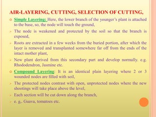 Vegetative Propagation in Plants with special reference to cutting ...