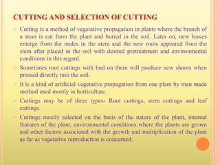 Vegetative Propagation in Plants with special reference to cutting ...