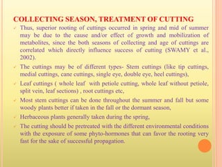 Vegetative Propagation in Plants with special reference to cutting ...