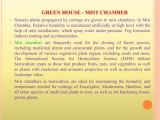 Vegetative Propagation in Plants with special reference to cutting ...
