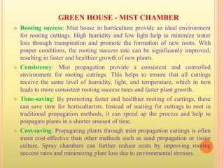 Vegetative Propagation in Plants with special reference to cutting ...