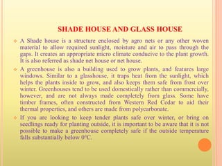 Vegetative Propagation in Plants with special reference to cutting ...