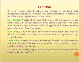Vegetative Propagation in Plants with special reference to cutting ...