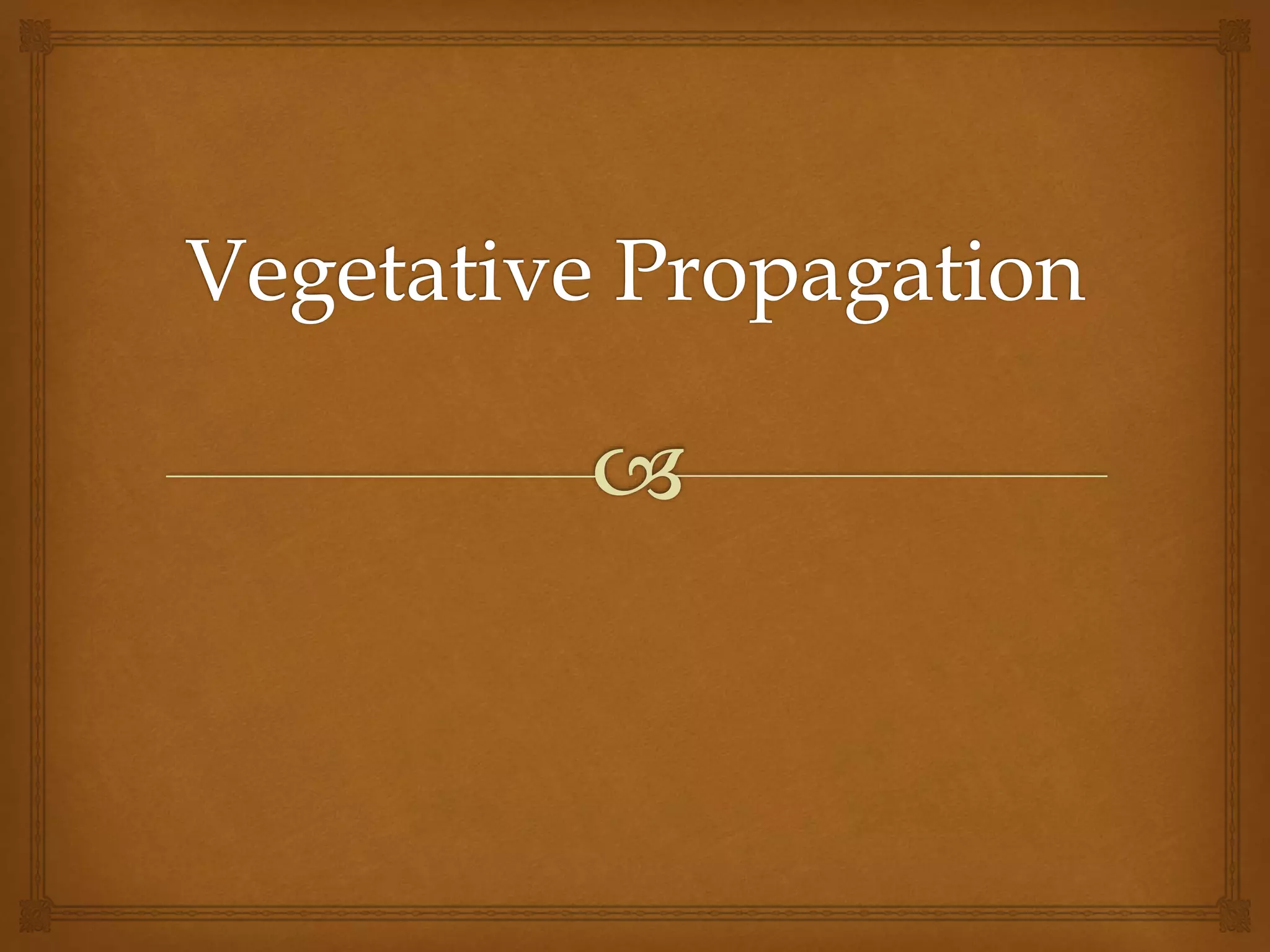 Vegetative Propagation (Cutting) KSD.pptx
