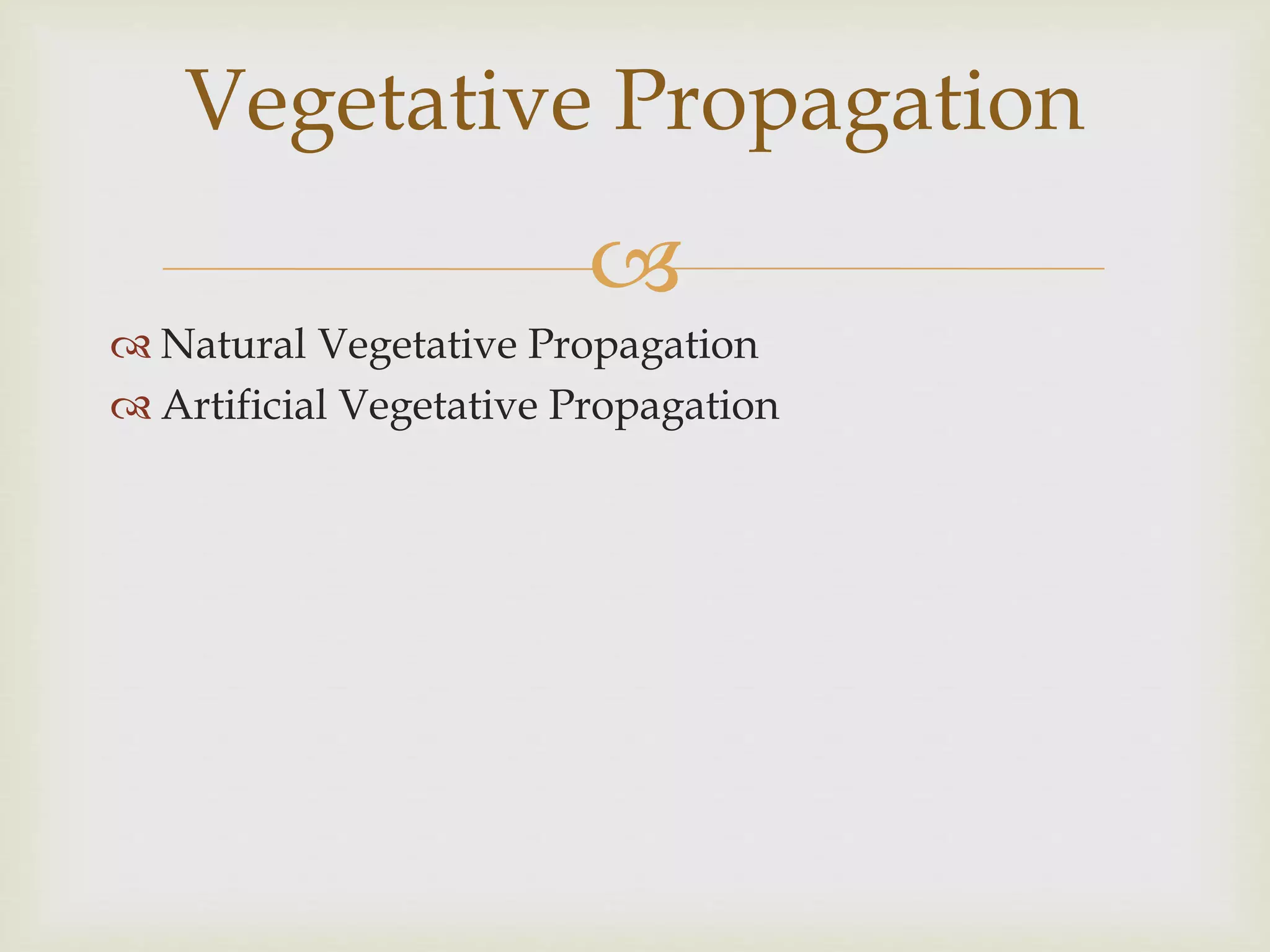 Vegetative Propagation (Cutting) KSD.pptx