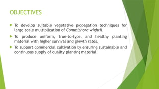 Vegetative propagation of Guggul plant.pptx