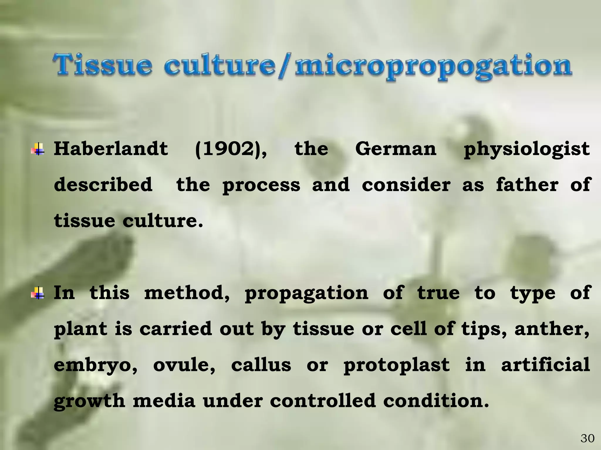 Vegetative propagation of minor fruit crop | PPTX