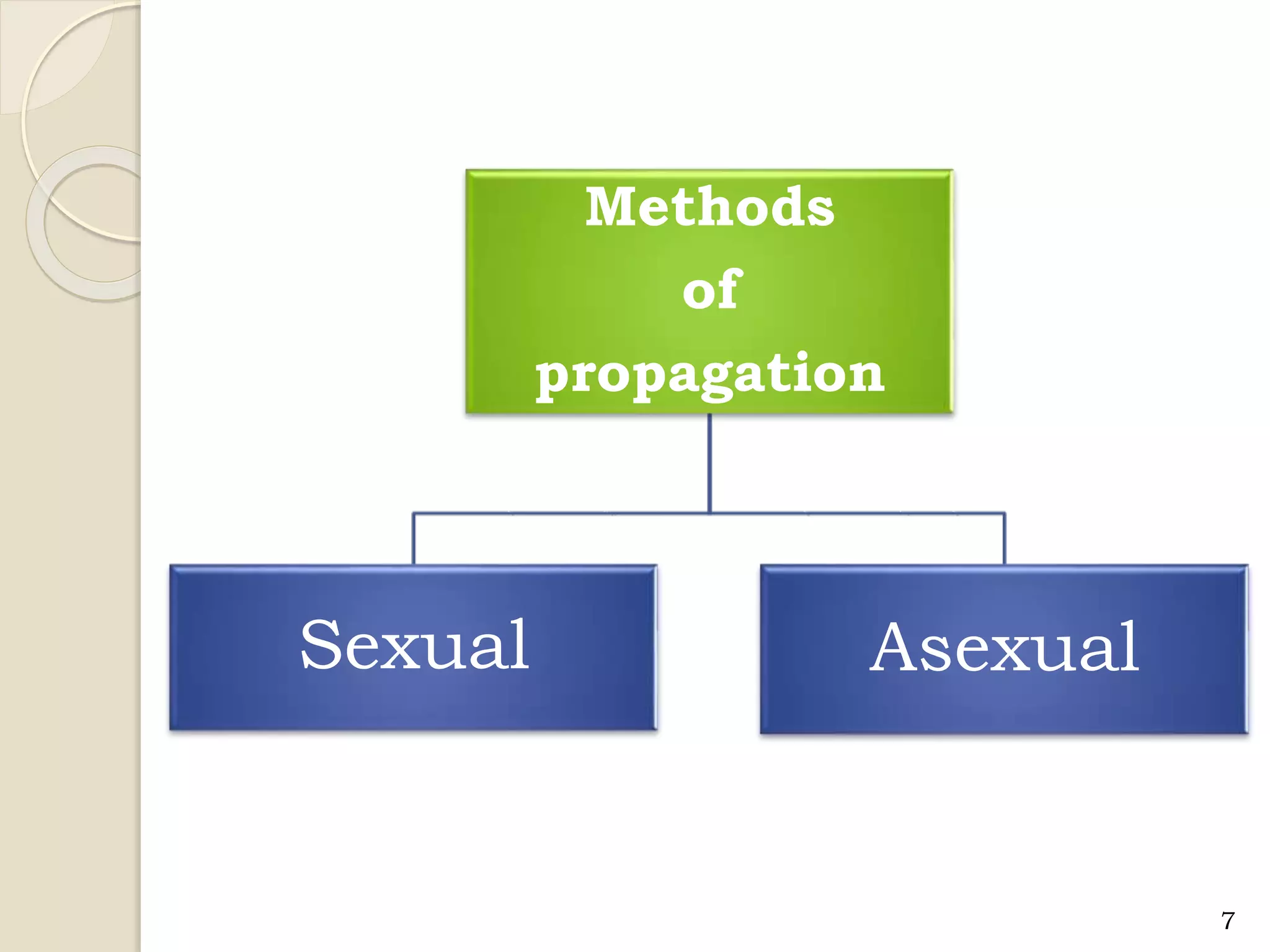 Vegetative propagation of minor fruit crop | PPTX