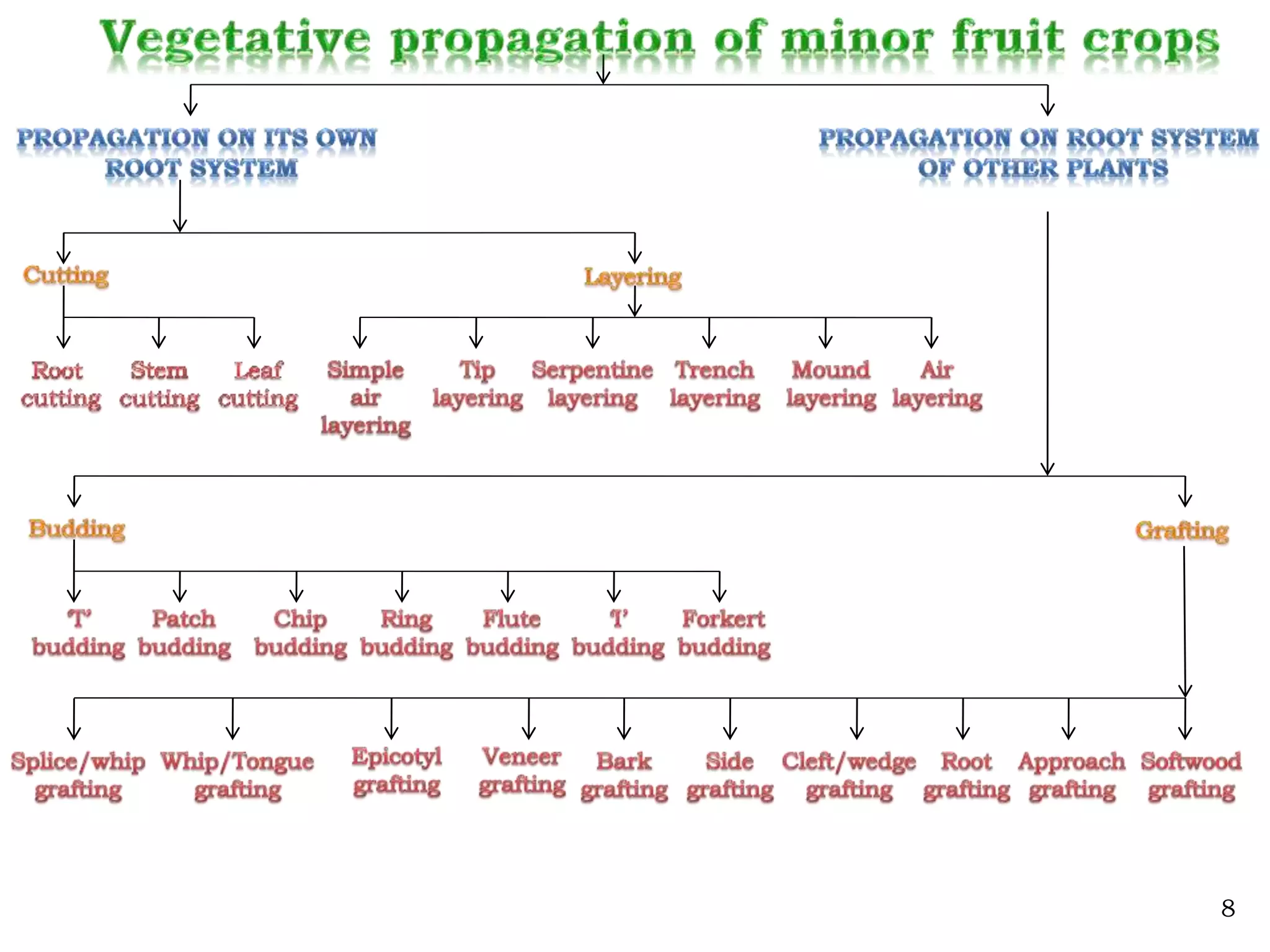 Vegetative propagation of minor fruit crop | PPTX