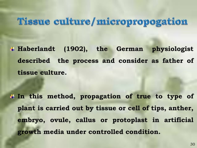 Vegetative propagation of minor fruit crop | PPTX