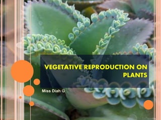 Vegetative reproduction on plants | PPSX