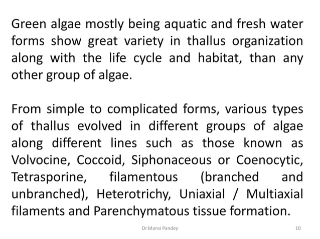 Vegetative Structure - Chlorophyceae.pptx
