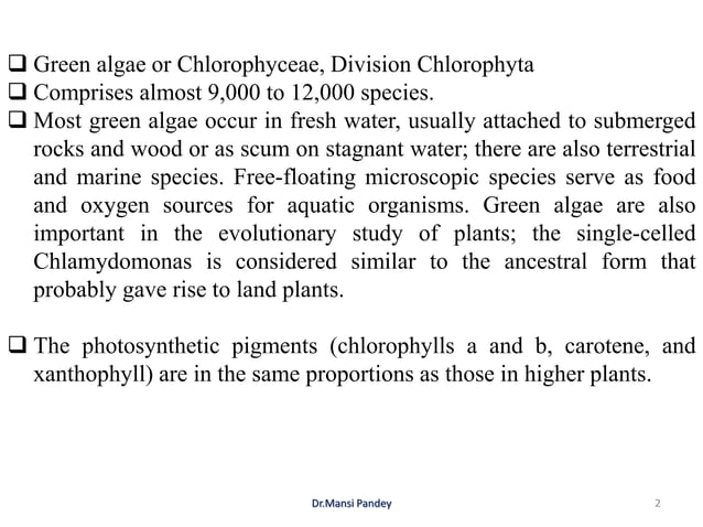 Vegetative Structure - Chlorophyceae.pptx