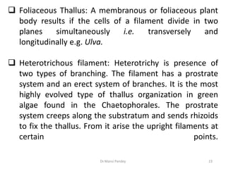 Vegetative Structure - Chlorophyceae.pptx