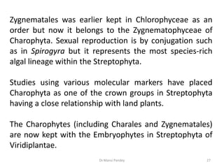 Vegetative Structure - Chlorophyceae.pptx