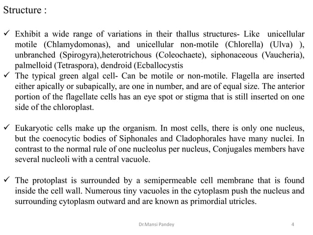 Vegetative Structure - Chlorophyceae.pptx