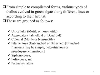 Vegetative Structure - Chlorophyceae.pptx