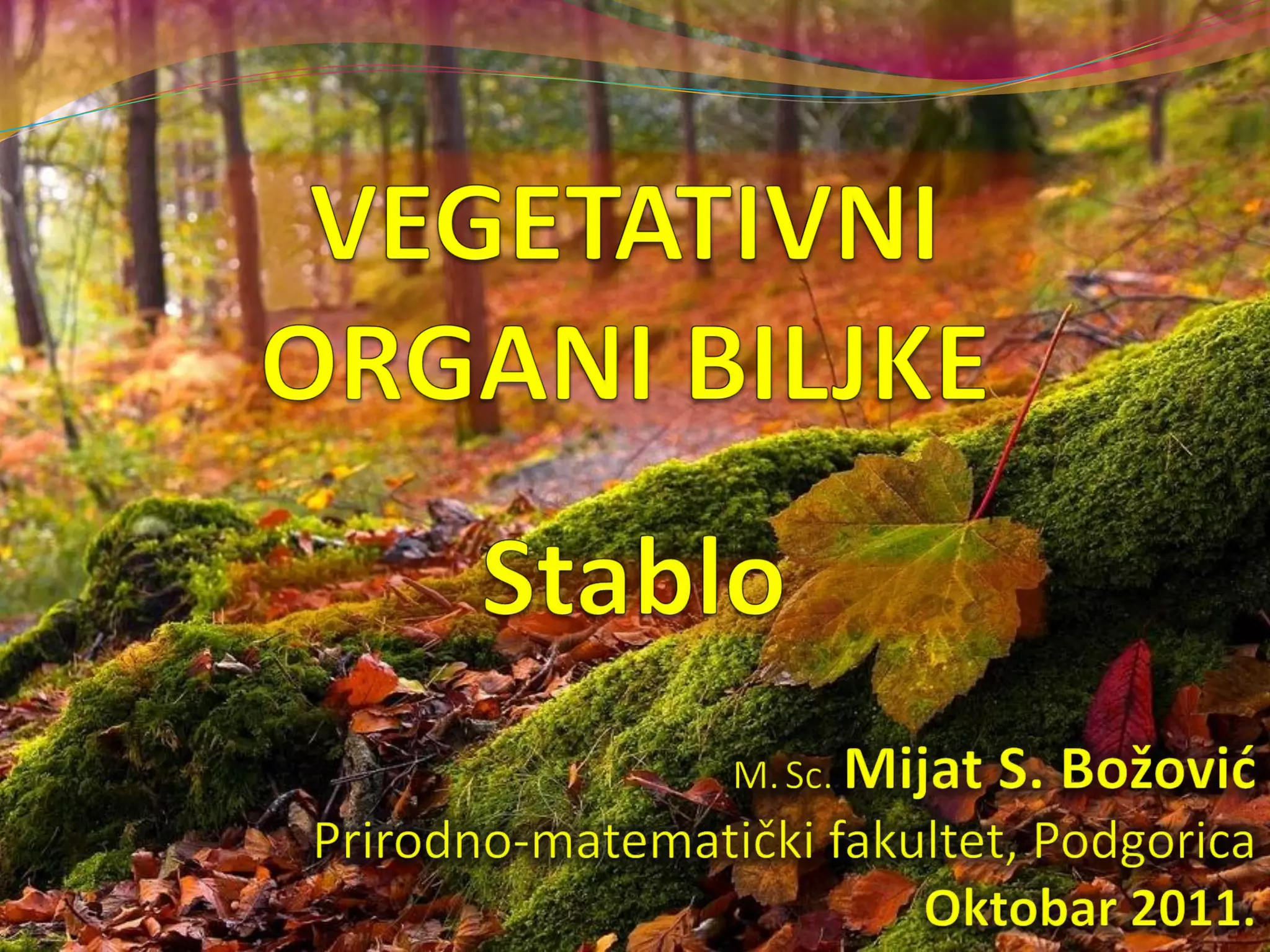 Vegetativni organi biljke _ Stablo.pdf