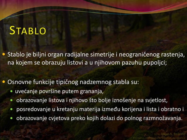 Vegetativni organi biljke _ Stablo.pdf