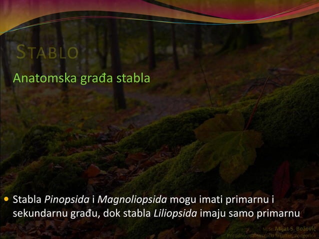 Vegetativni organi biljke _ Stablo.pdf