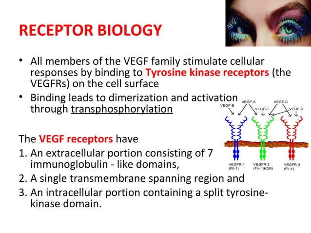 Vegf inhibitors for ophthalmic use | PPT