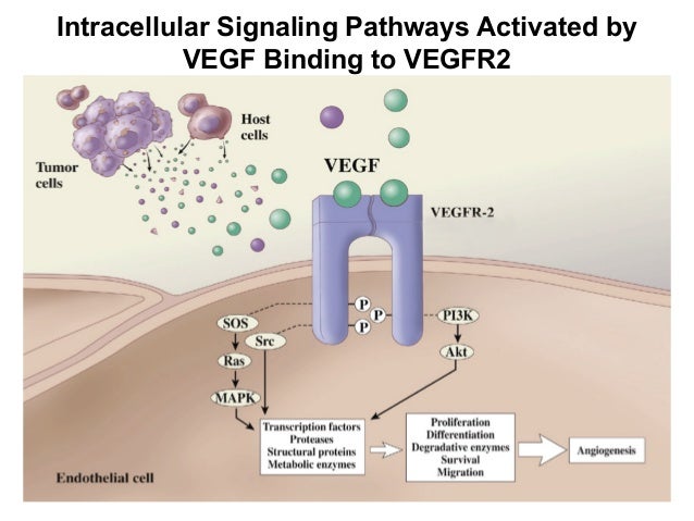 Vegf inhibitors for ophthalmic use