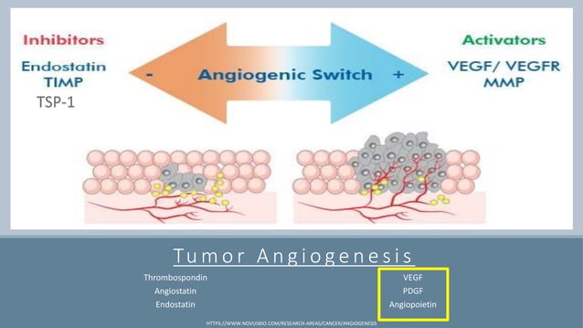 VEGF inhibitors In Cancer therapy | PPSX | Cancer | Diseases and Conditions