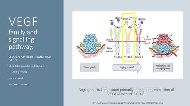 VEGF inhibitors In Cancer therapy | PPSX | Cancer | Diseases and Conditions