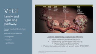 VEGF inhibitors In Cancer therapy | PPSX