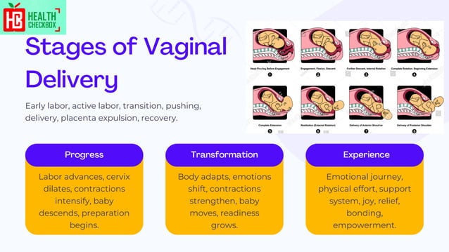 All about veginal Delivery Treatment.pdf