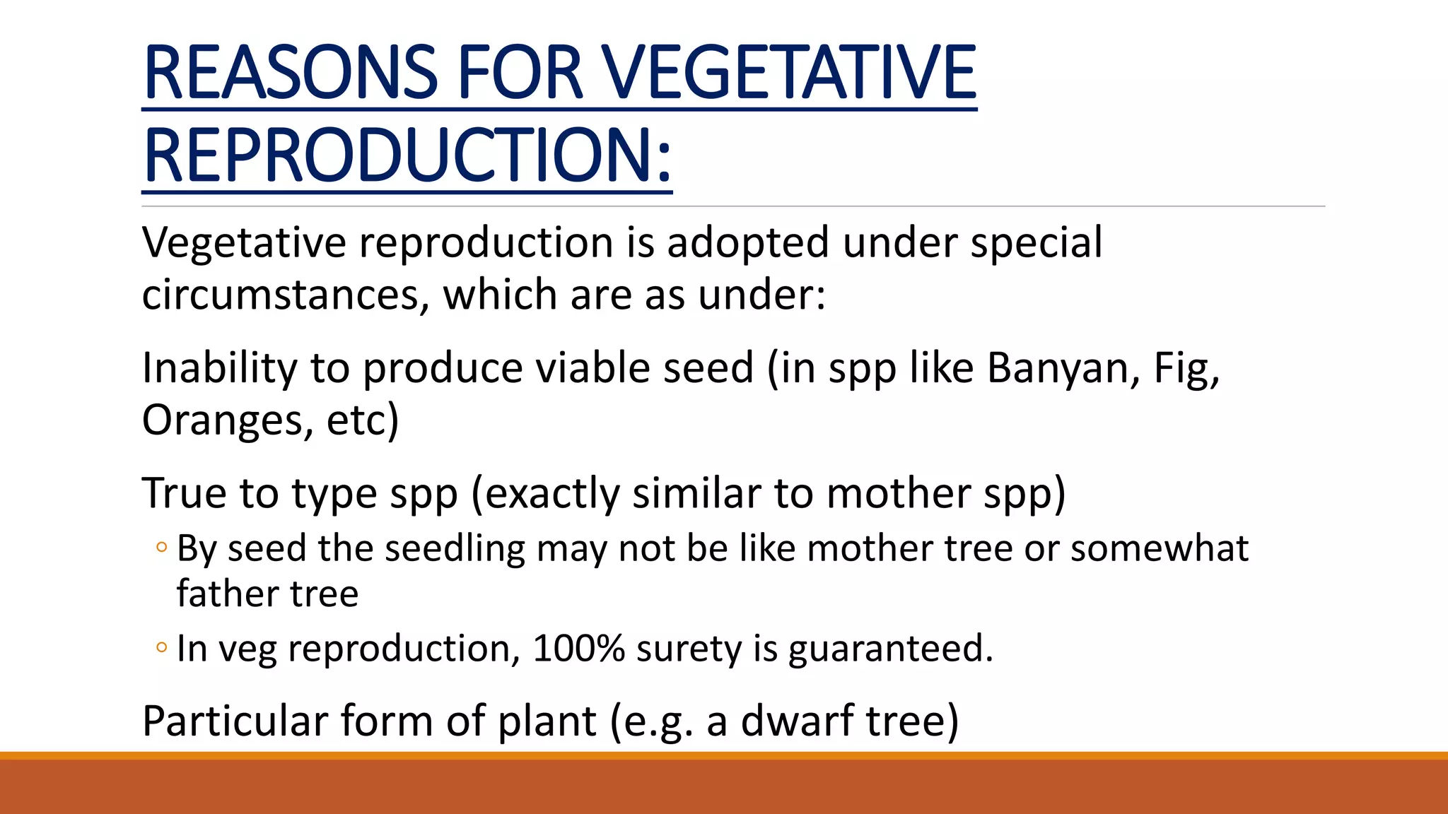 Vegitative propagation | PPTX