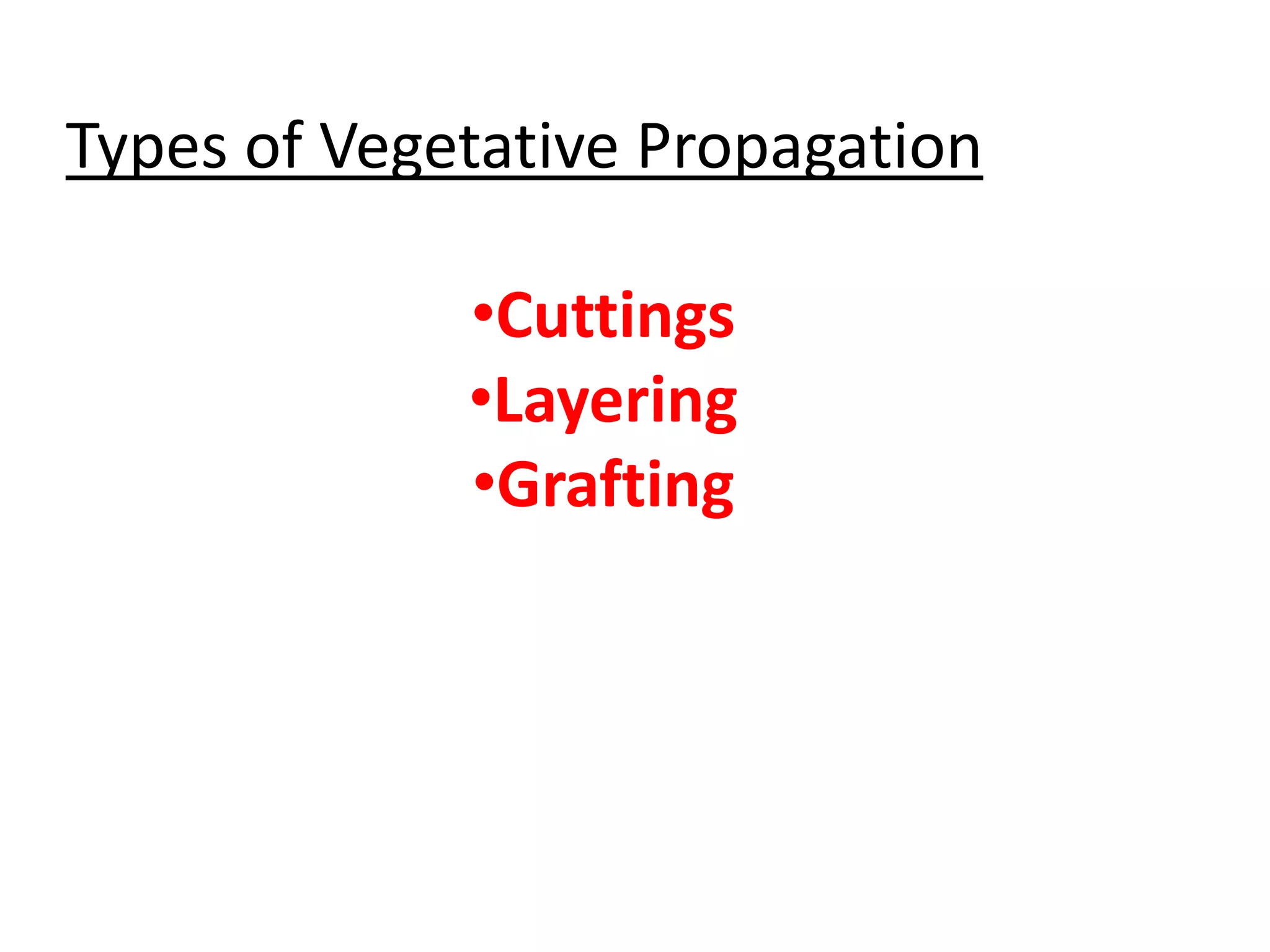 Vegetative propagation 1 | PPTX