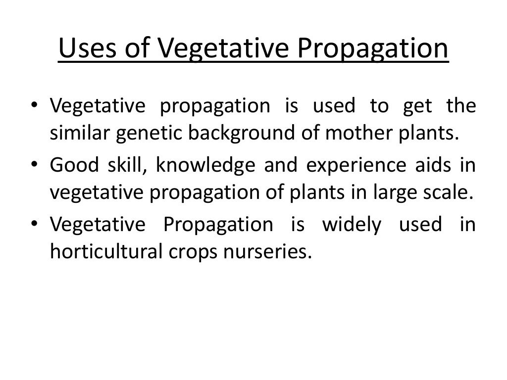 Vegetative Terminology Part 1