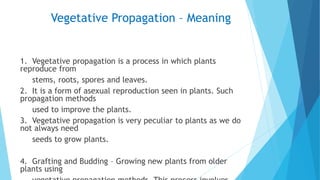 vegtative reproduction . Mohan sai srinivas ^J class 5 E ^.pptx