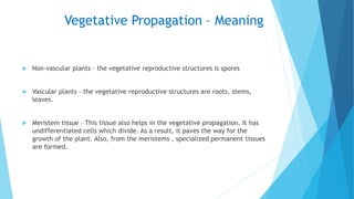 vegtative reproduction . Mohan sai srinivas ^J class 5 E ^.pptx