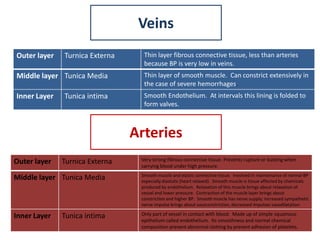 Vein and artery layers | PPTX