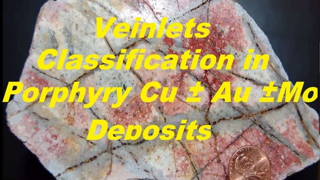 Veinlets ClassificationSM2021_Final_F.pptx