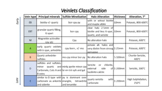 Veinlets ClassificationSM2021_Final_F.pptx