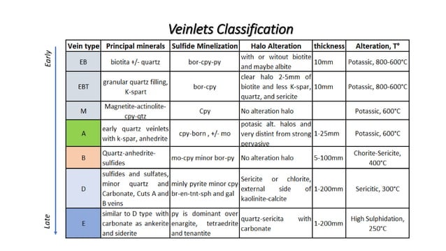 Veinlets ClassificationSM2021_Final_F.pptx