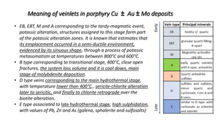 Veinlets ClassificationSM2021_Final_F.pptx