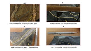 Veinlets ClassificationSM2021_Final_F.pptx
