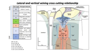 Veinlets ClassificationSM2021_Final_F.pptx
