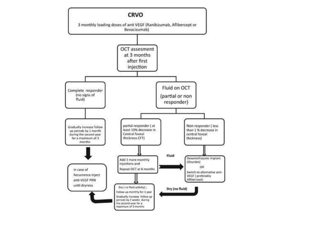 Vein occlusion guidelines | PPT