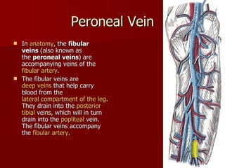 Vein of lower limb | PPT