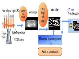 Vein Recognition Method | PPT