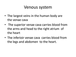 Veins and capillaries | PPTX
