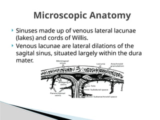 venous drainage of cerebrum pow e rpoint | PPTX