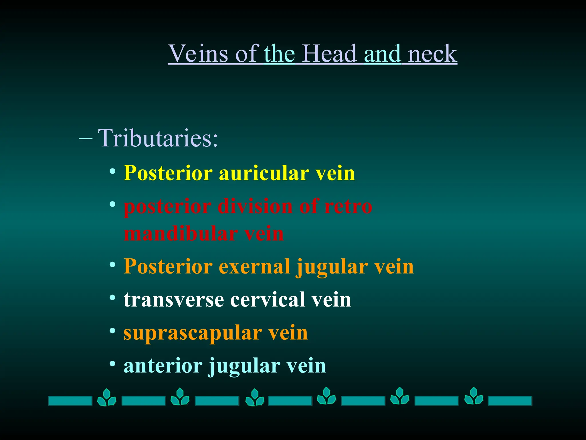 anatomy of veins of the head and neck .ppt