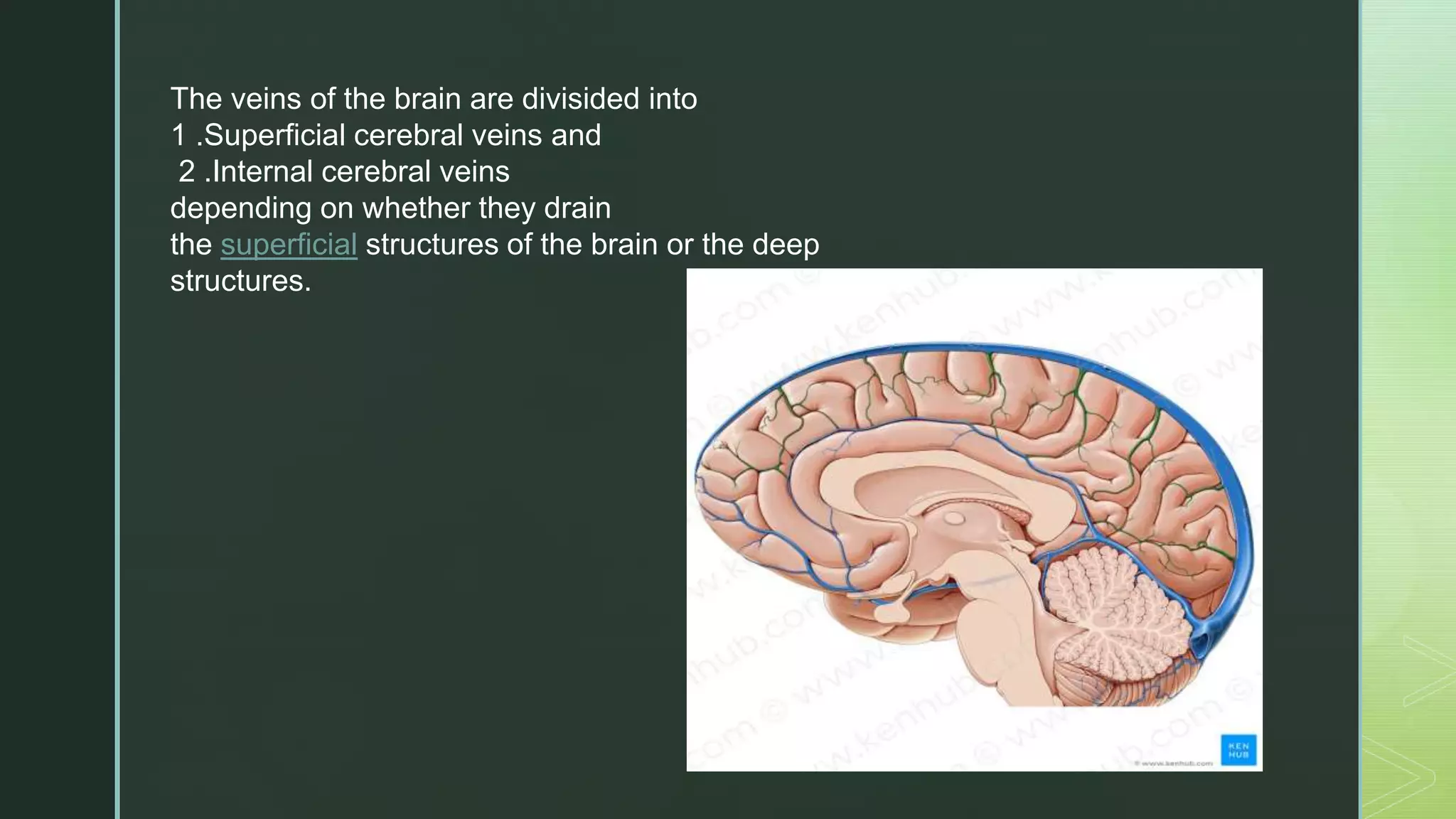VEINS OF THE BRAIN.pptx